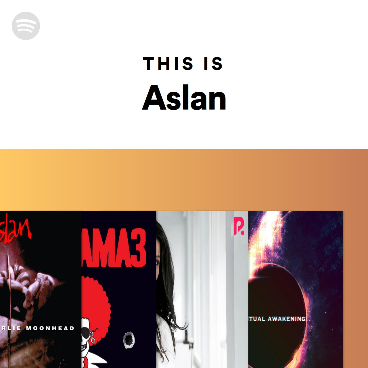 This Is Aslan | Spotify Playlist