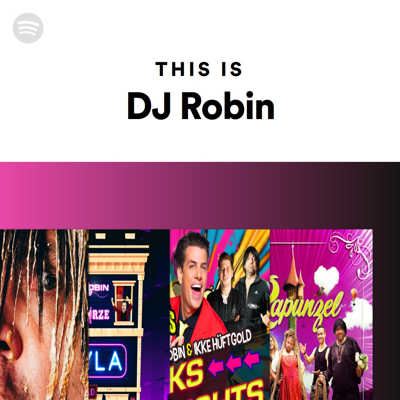 This Is DJ Robin | Spotify Playlist