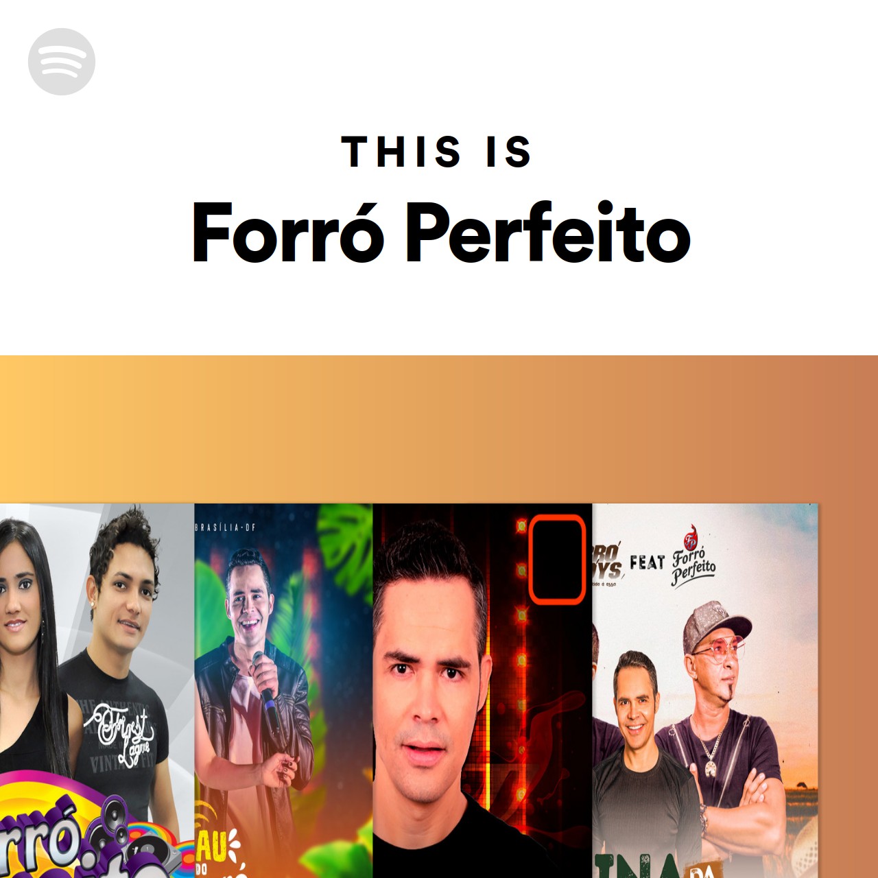 This Is Forró Perfeito | Spotify Playlist