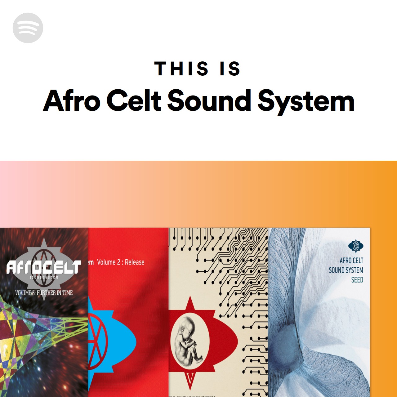 This Is Afro Celt Sound System | Spotify Playlist