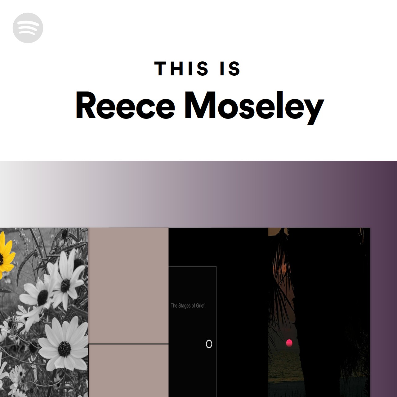 This Is Reece Moseley | Spotify Playlist