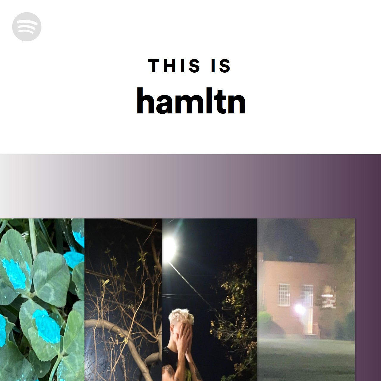 This Is hamilton | Spotify Playlist
