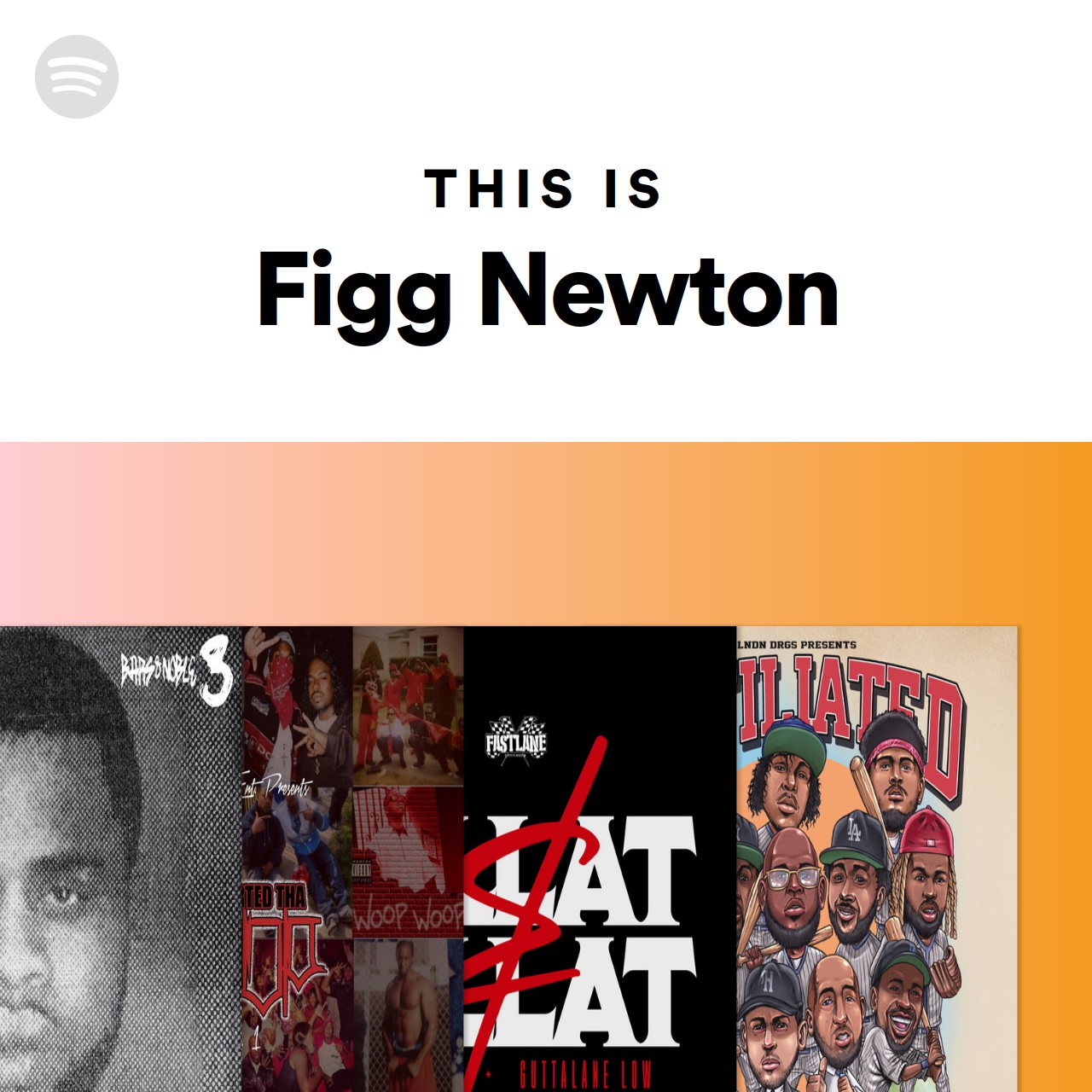 This Is Figg Newton | Spotify Playlist