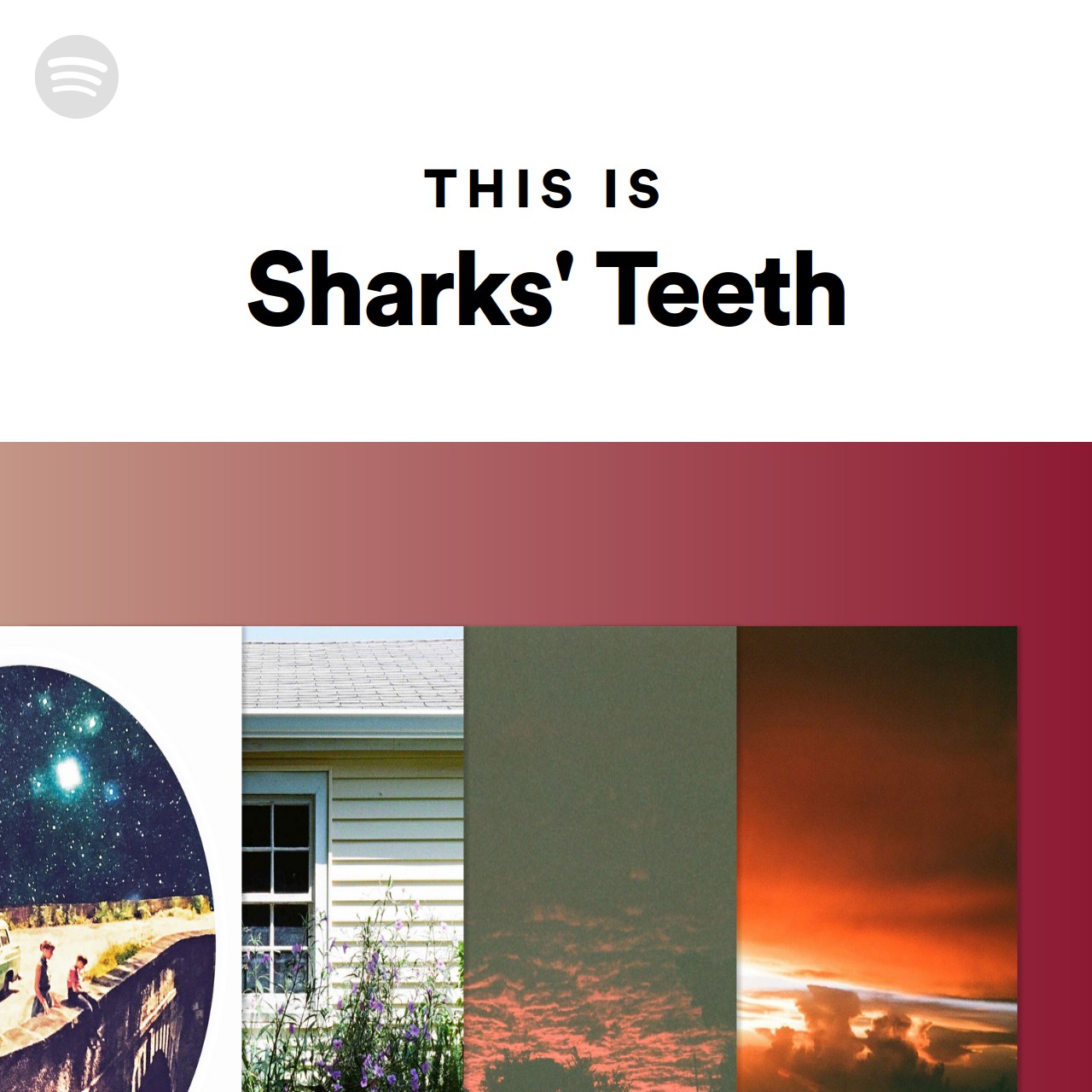 This Is Sharks' Teeth | Spotify Playlist
