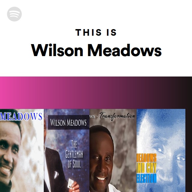 This Is Wilson Meadows | Spotify Playlist