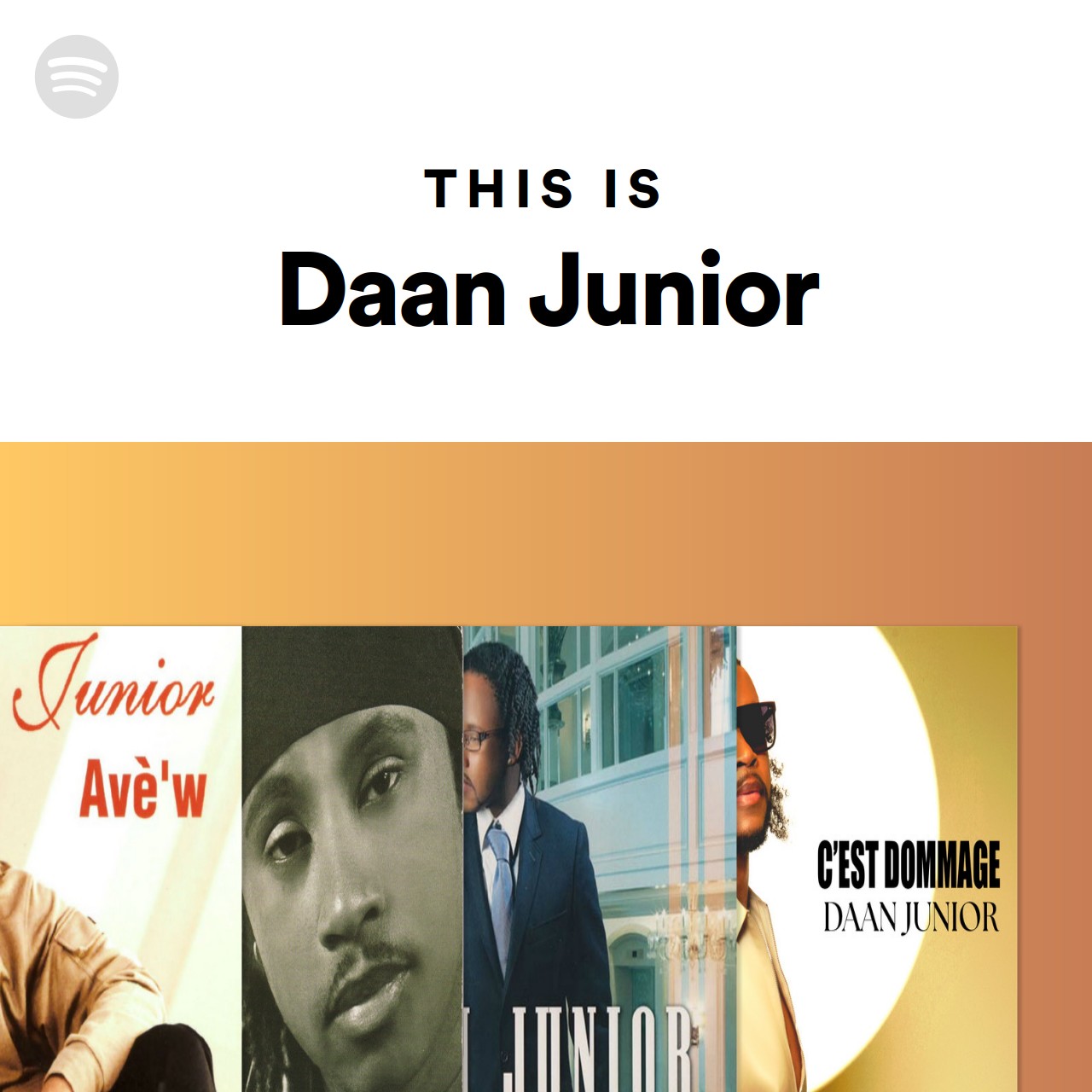 This Is Daan Junior | Spotify Playlist