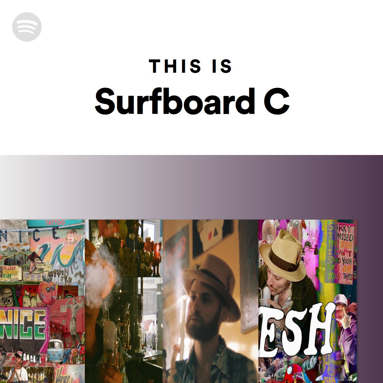 This Is Surfboard C | Spotify Playlist