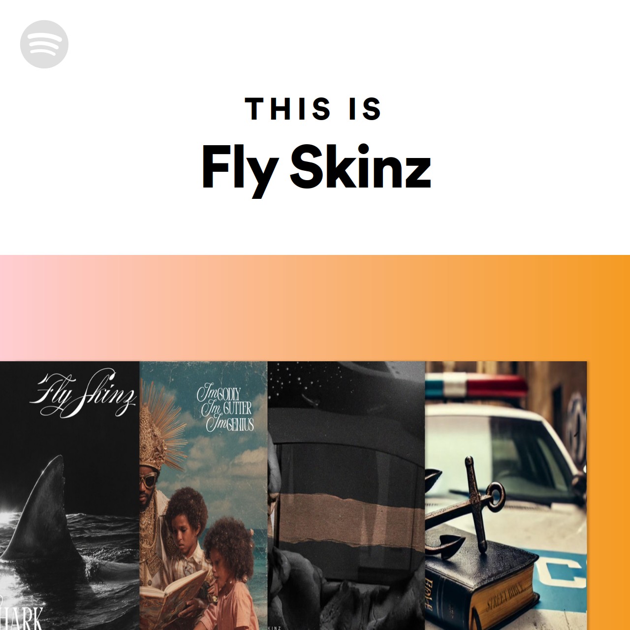 This Is Fly Skinz | Spotify Playlist