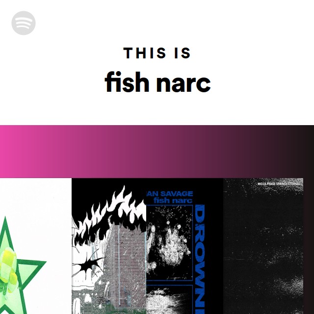 This Is fish narc - playlist by Spotify | Spotify