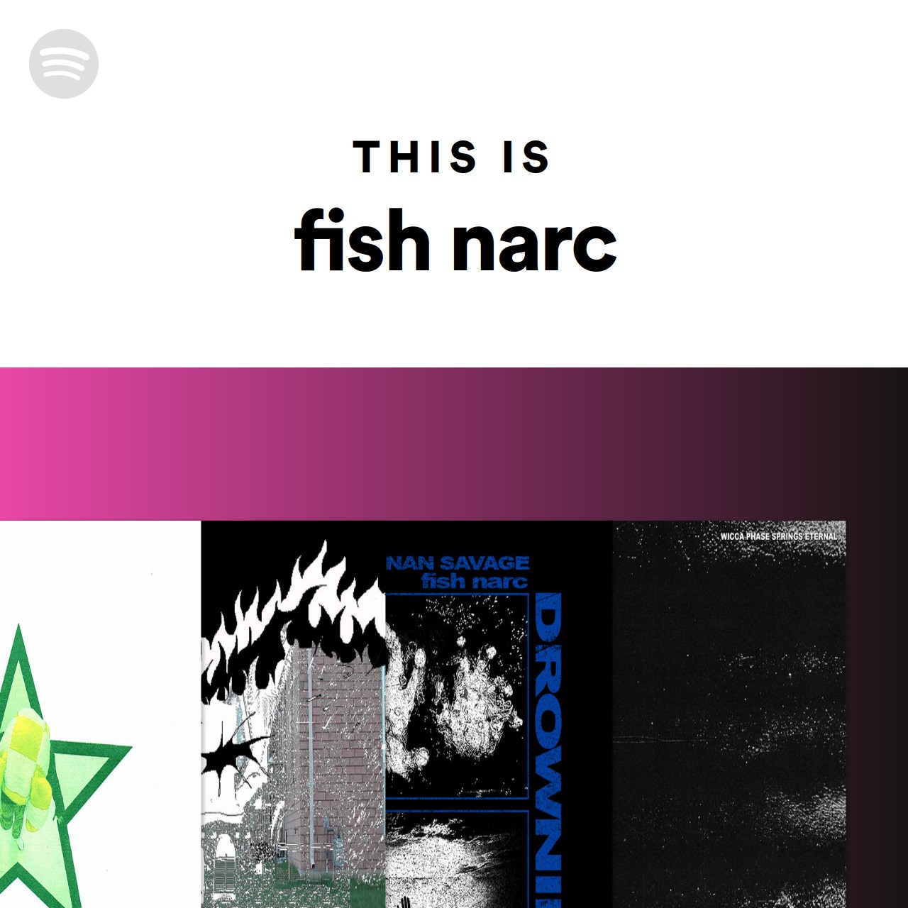 This Is fish narc | Spotify Playlist
