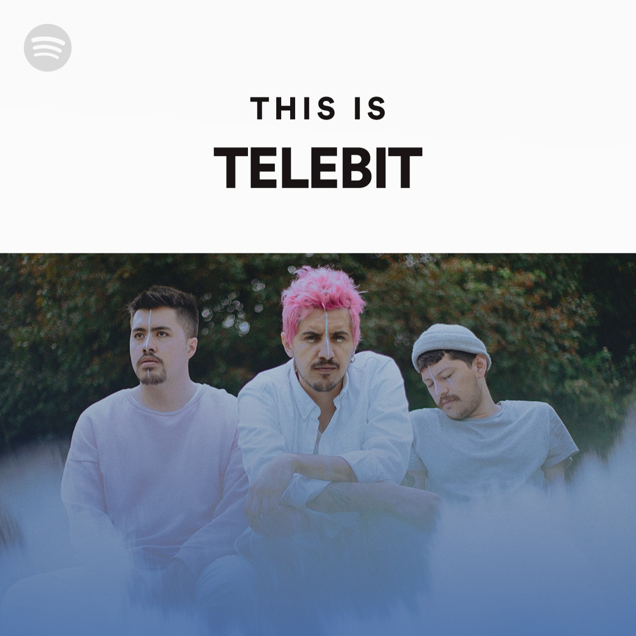 This Is TELEBIT | Spotify Playlist