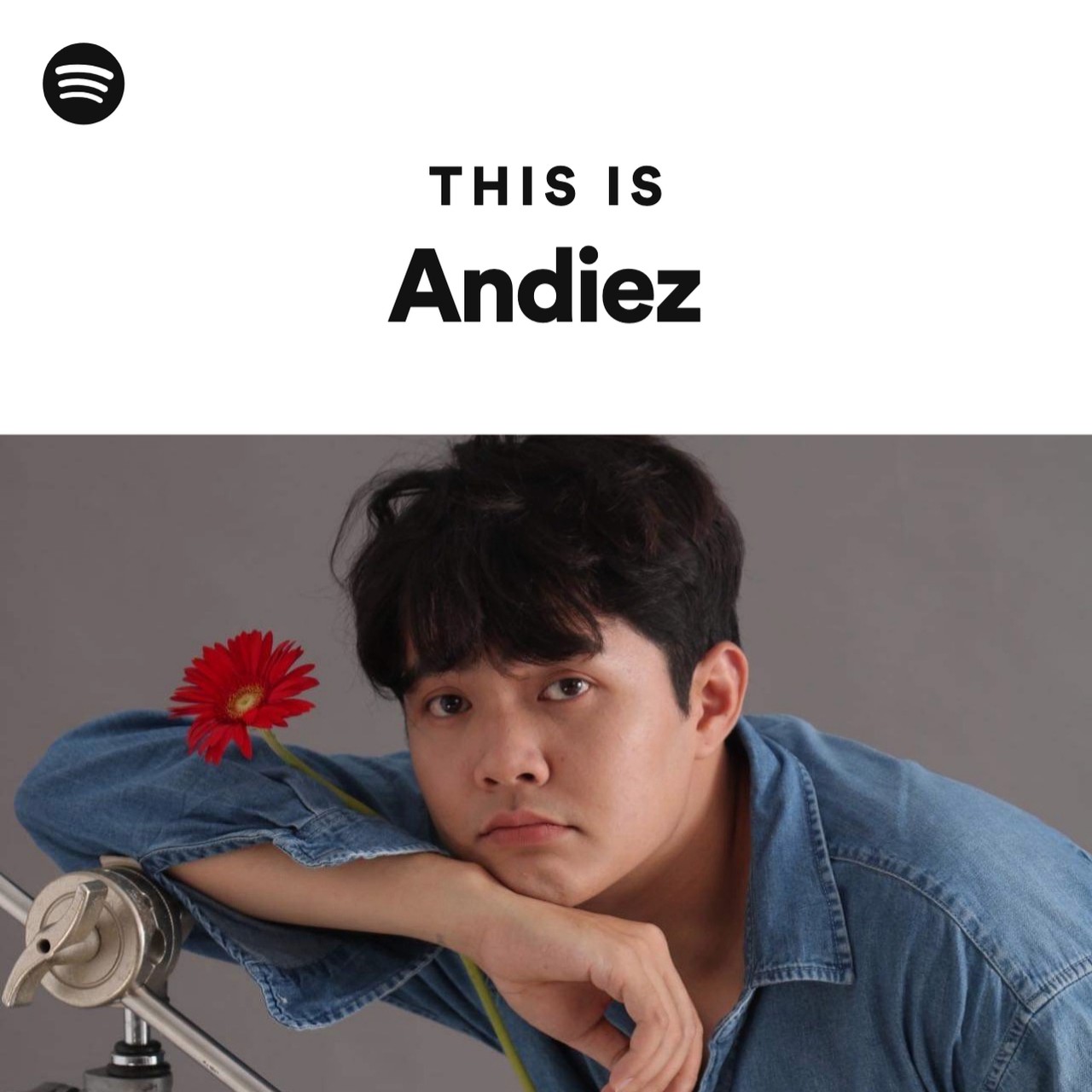 This Is Andiez | Spotify Playlist