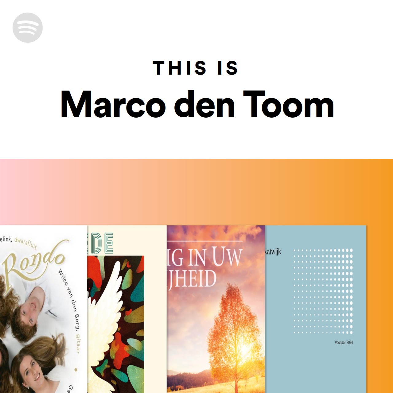 This Is Marco den Toom | Spotify Playlist