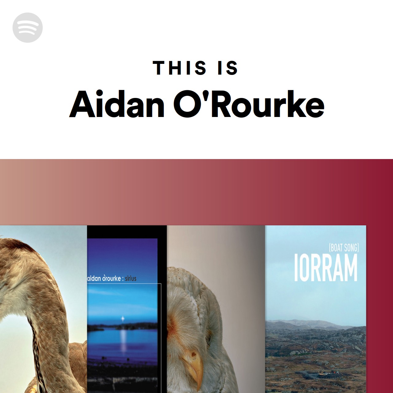 This Is Aidan O'Rourke | Spotify Playlist