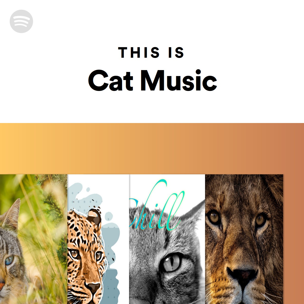 This Is Cat Music | Spotify Playlist