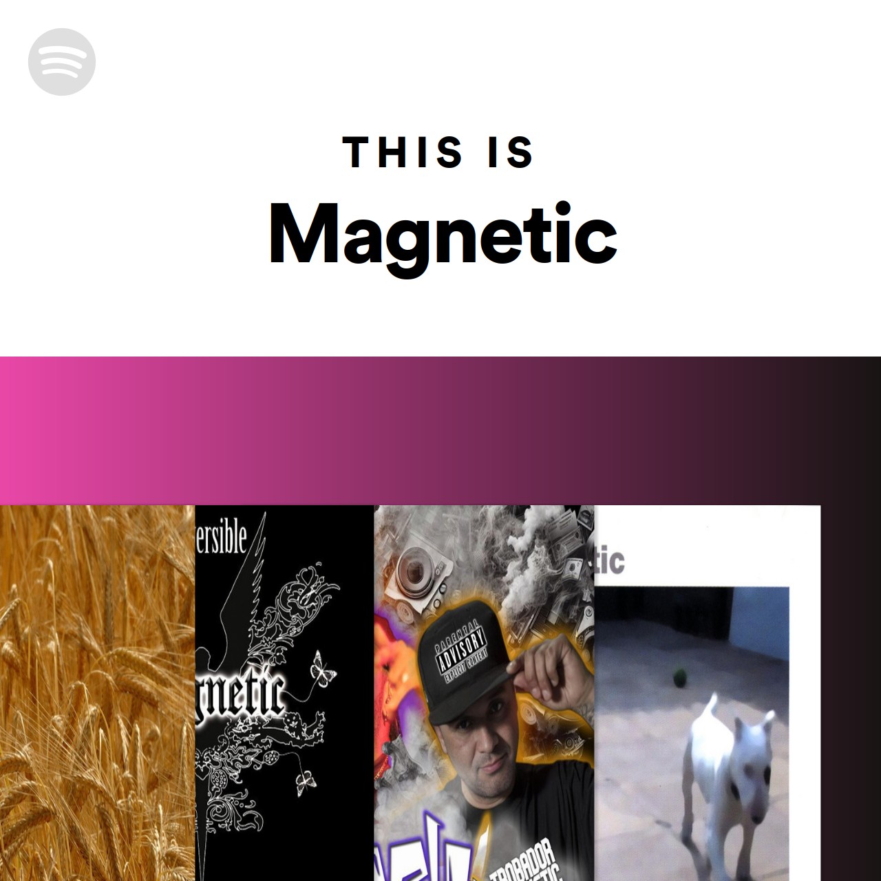 This Is Magnetic | Spotify Playlist