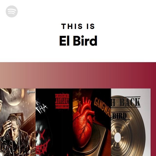 This Is El Bird - playlist by Spotify | Spotify