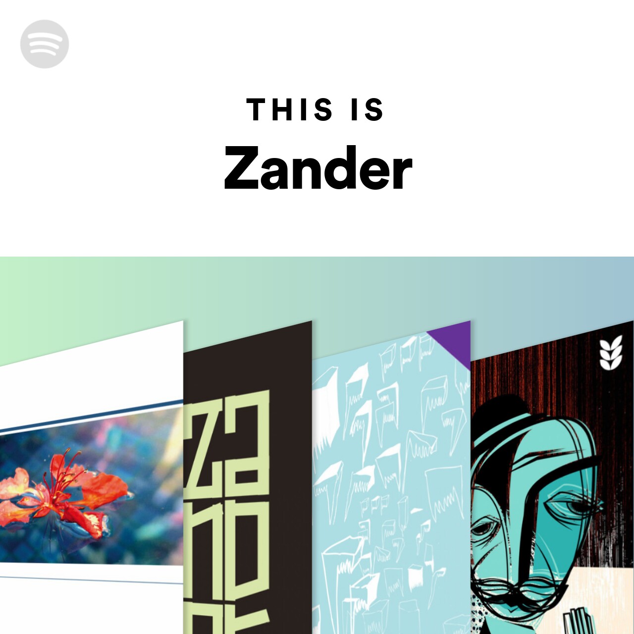 This Is Zander | Spotify Playlist