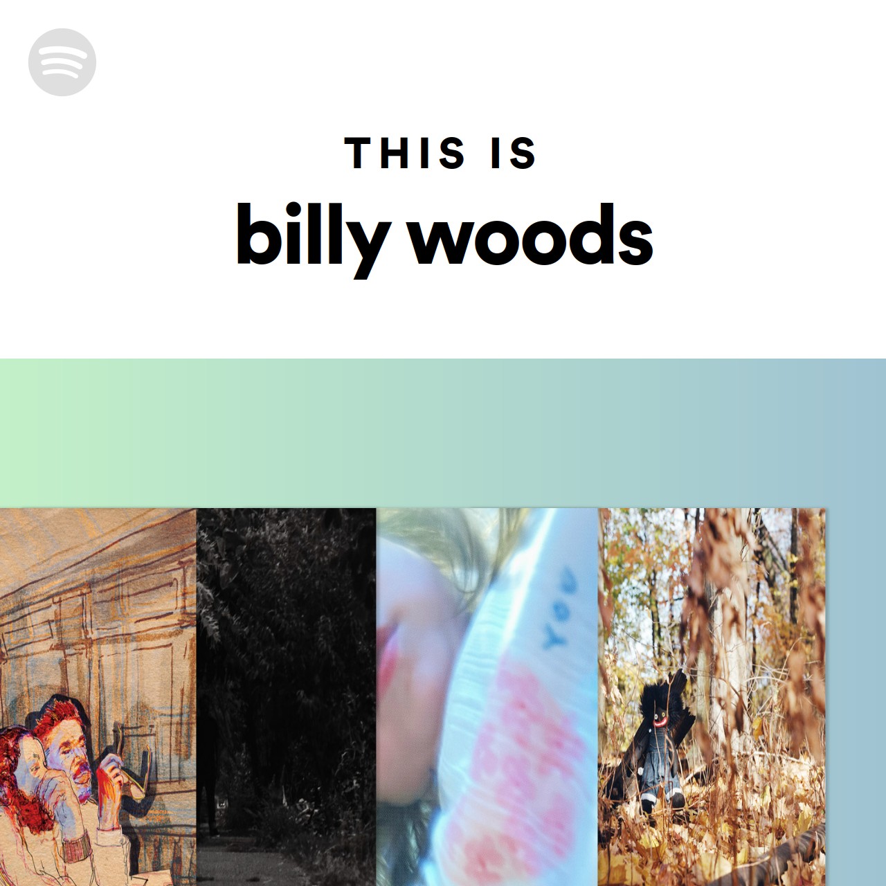 This Is billy woods | Spotify Playlist
