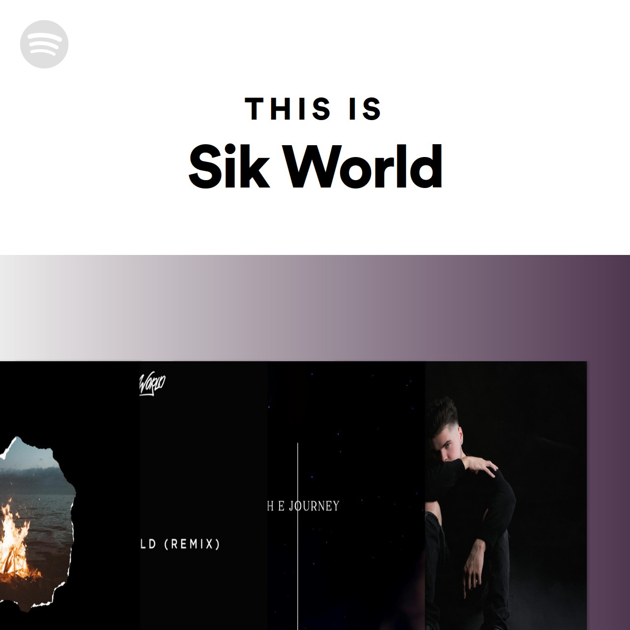 This Is Sik World | Spotify Playlist
