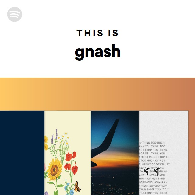 Gnash