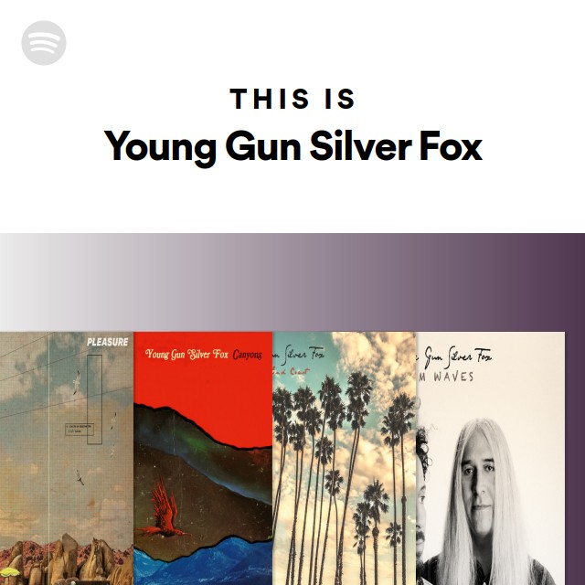 This Is Young Gun Silver Fox - playlist by Spotify | Spotify