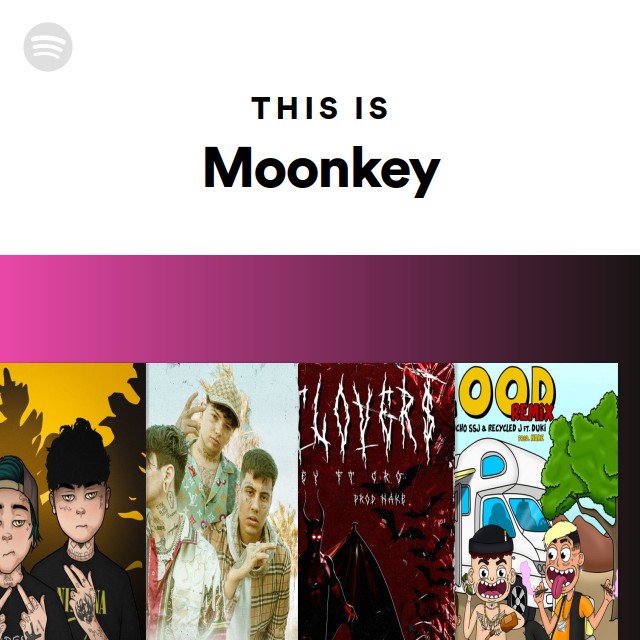 This Is Moonkey - playlist by Spotify | Spotify