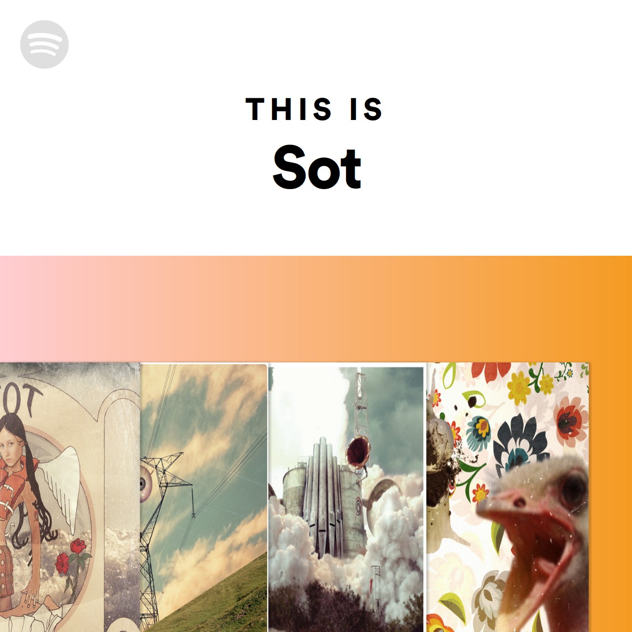 This Is Sot | Spotify Playlist