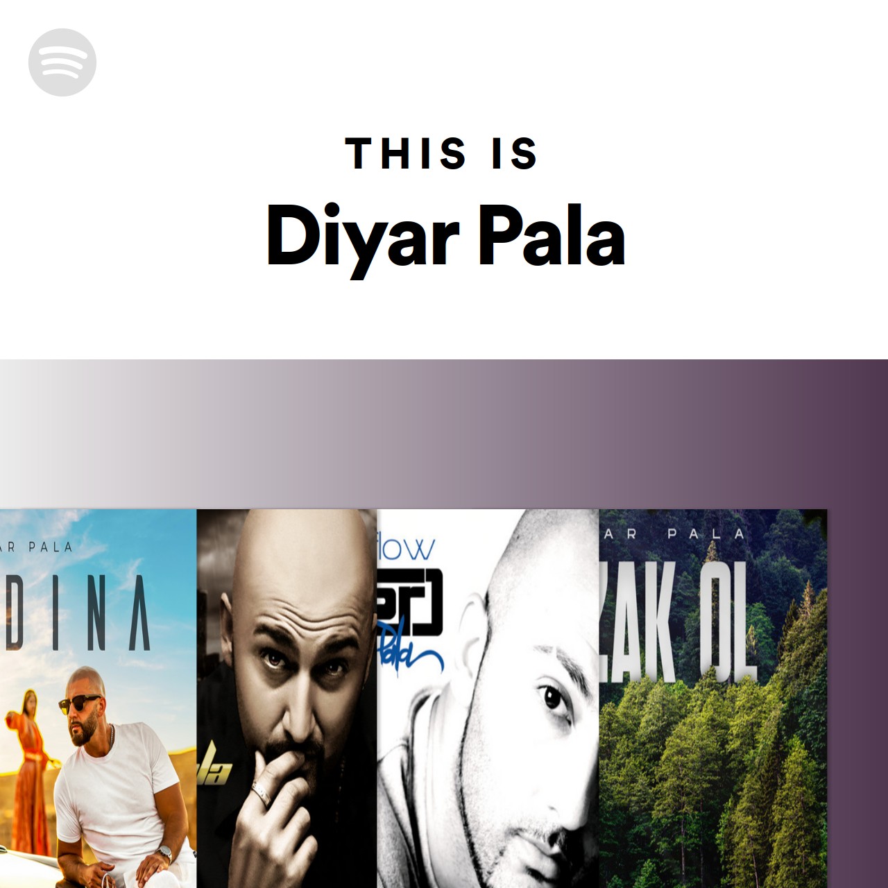 This Is Diyar Pala | Spotify Playlist