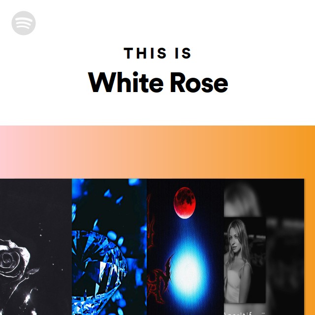 This Is White Rose - playlist by Spotify | Spotify