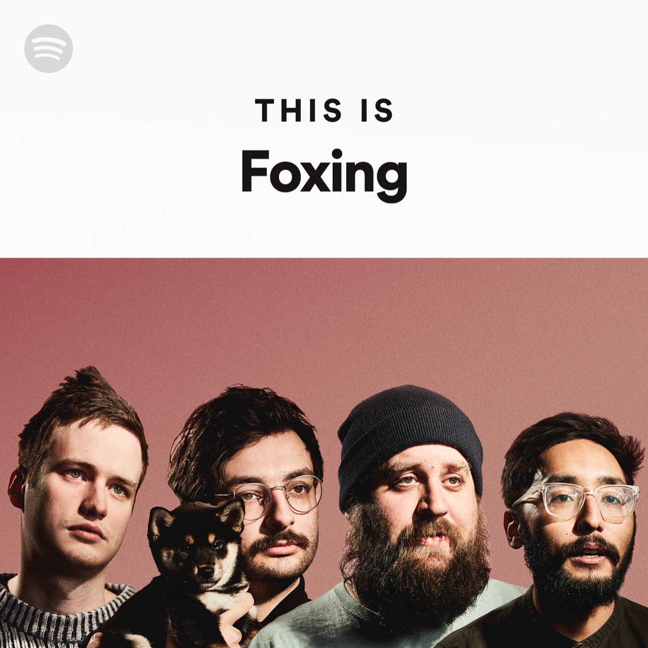 This Is Foxing | Spotify Playlist