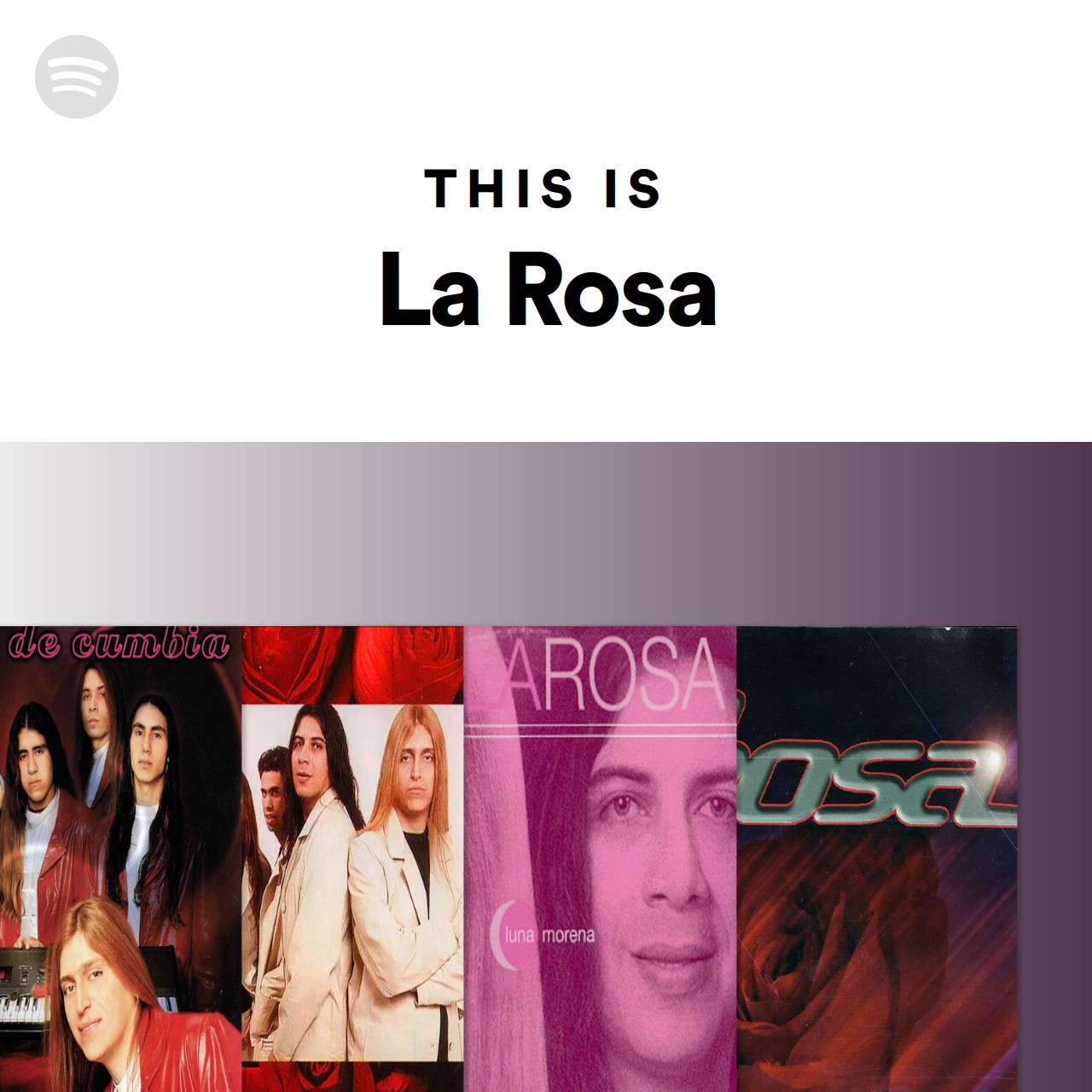 This Is La Rosa | Spotify Playlist