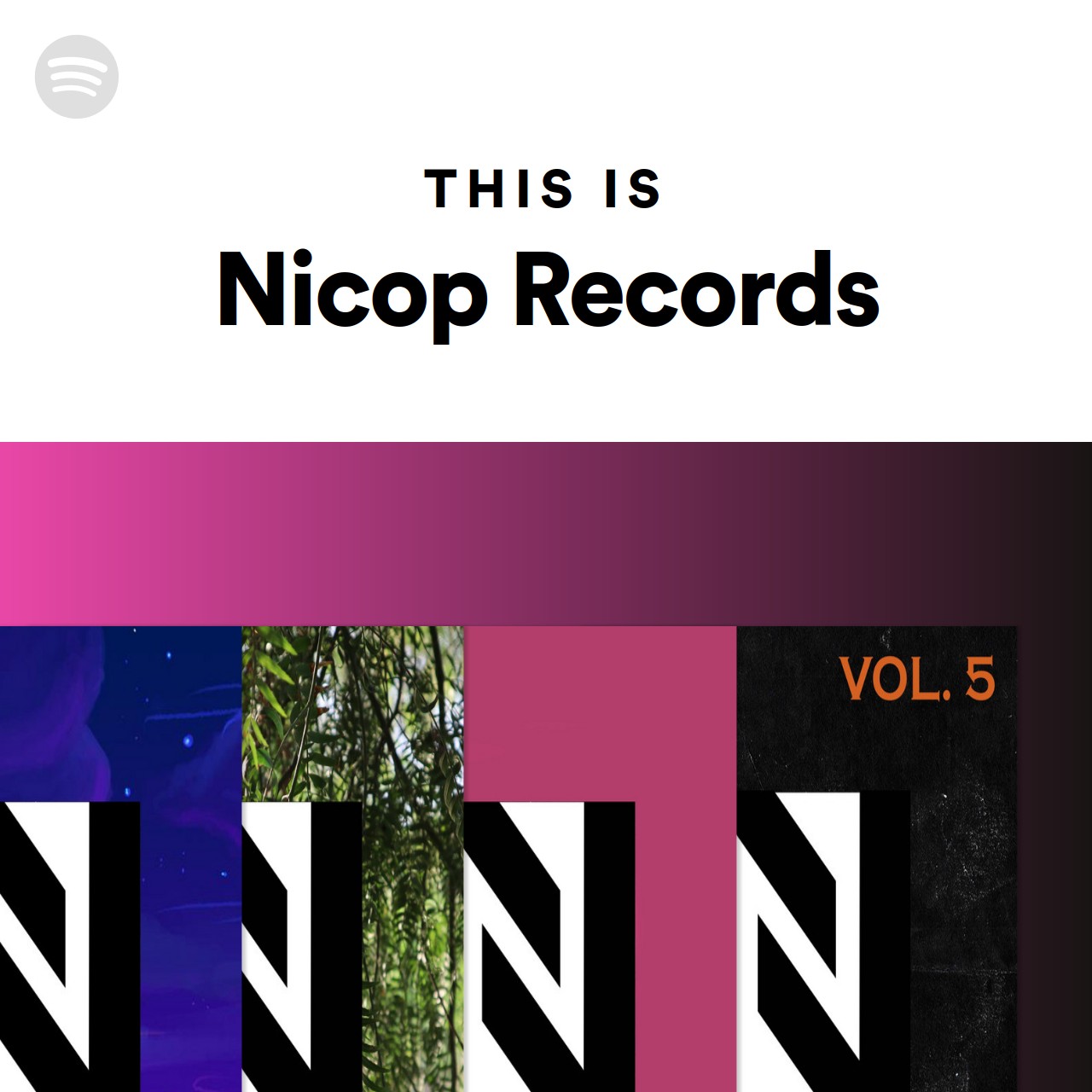 This Is Nicop Records | Spotify Playlist
