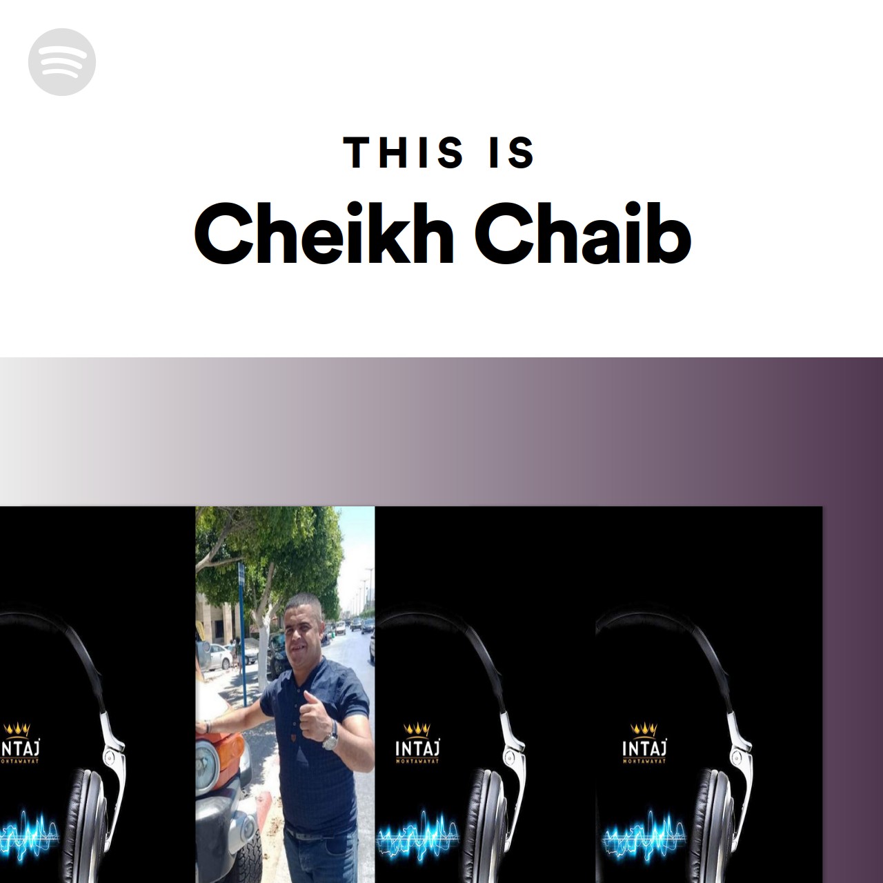 This Is Cheikh Chaib | Spotify Playlist