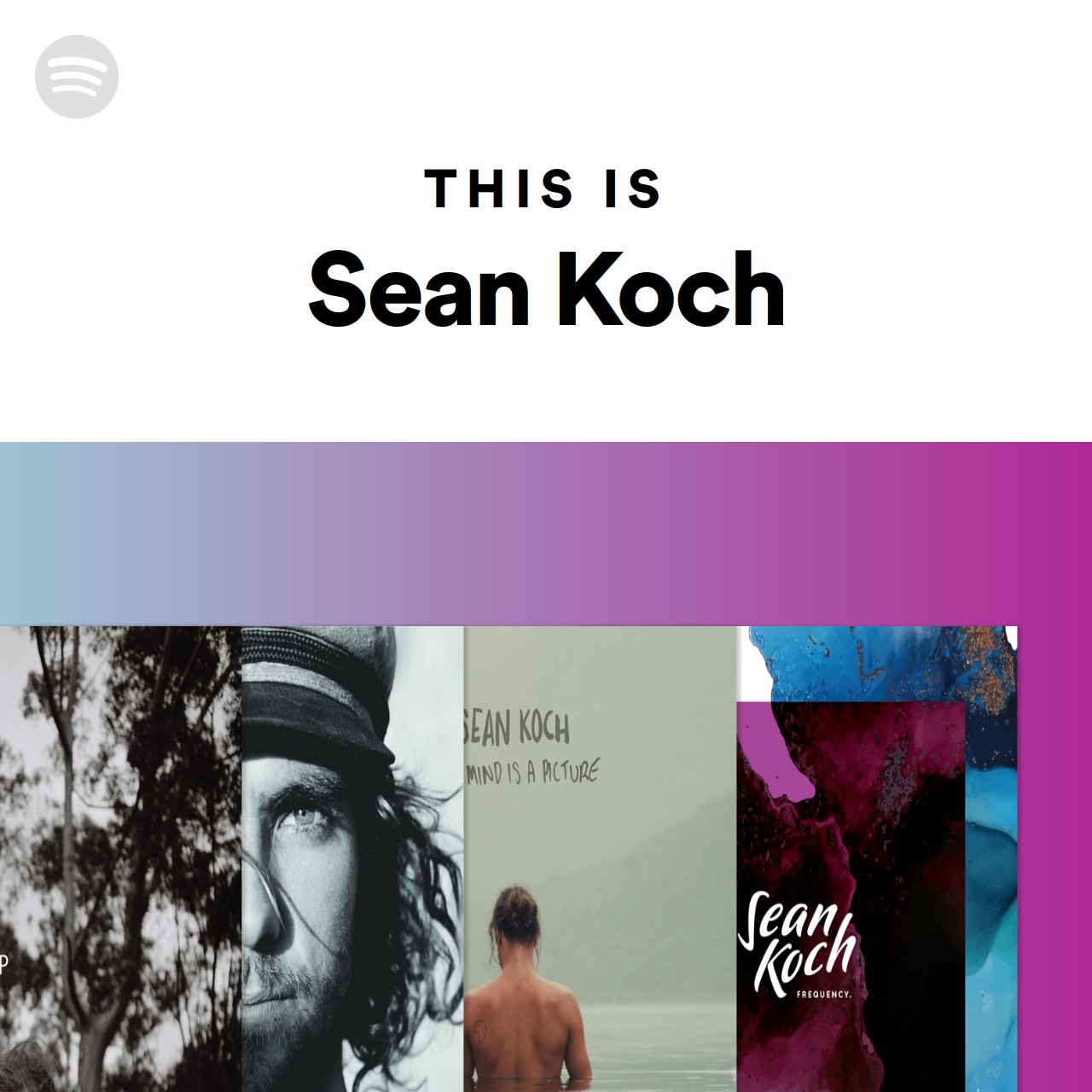 This Is Sean Koch | Spotify Playlist