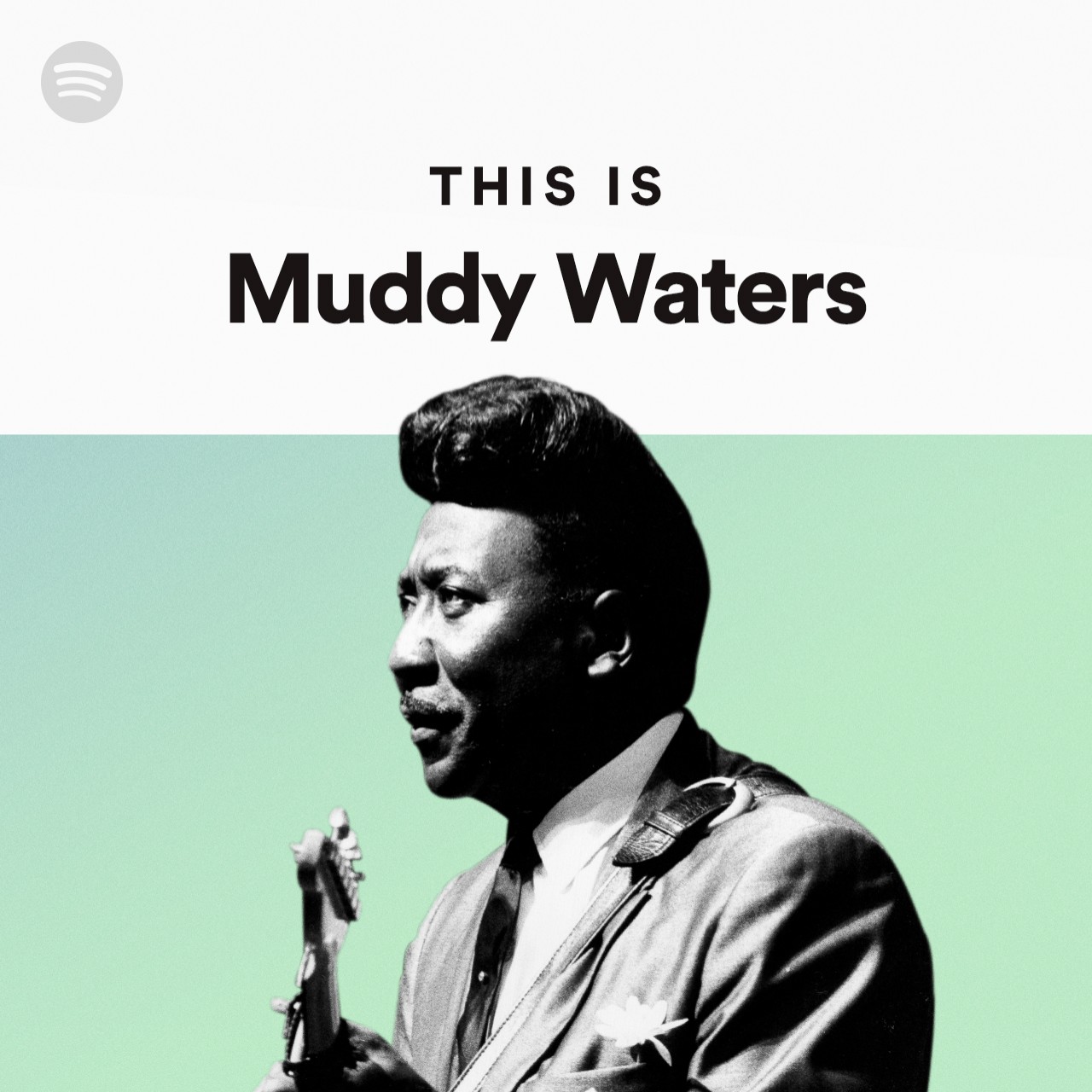 This Is Muddy Waters | Spotify Playlist