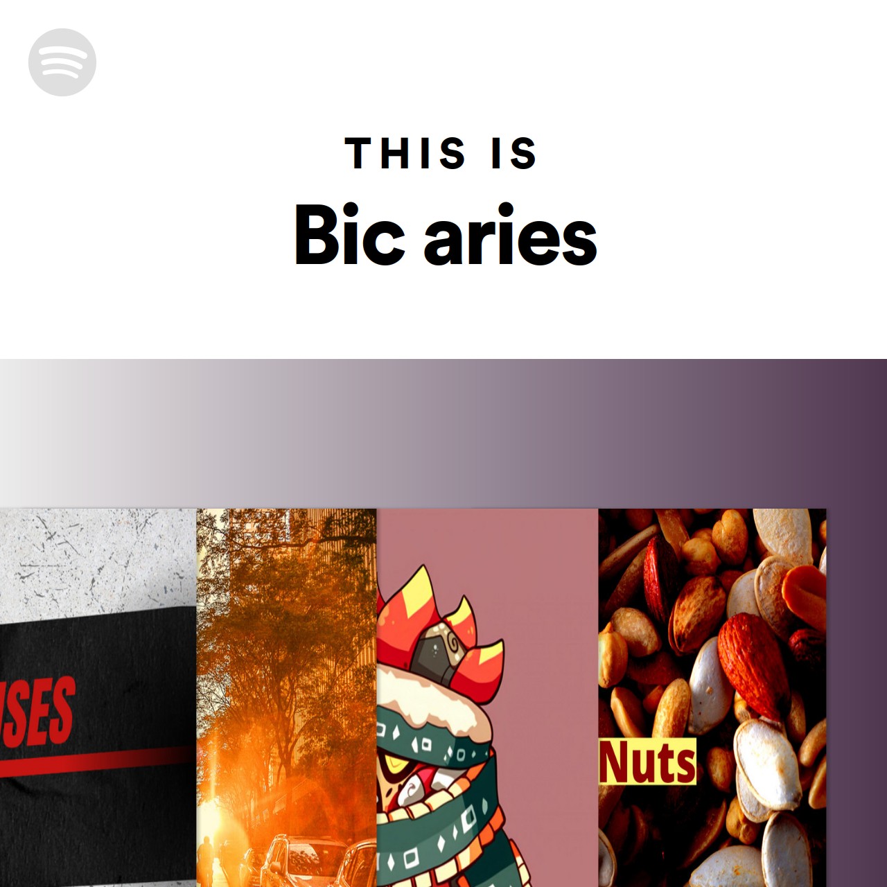 This Is Bic aries | Spotify Playlist