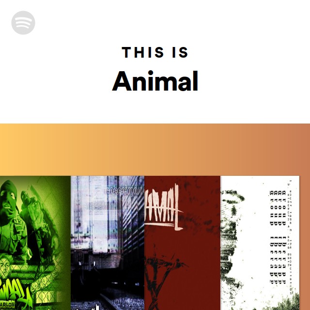 This Is Animal - playlist by Spotify | Spotify