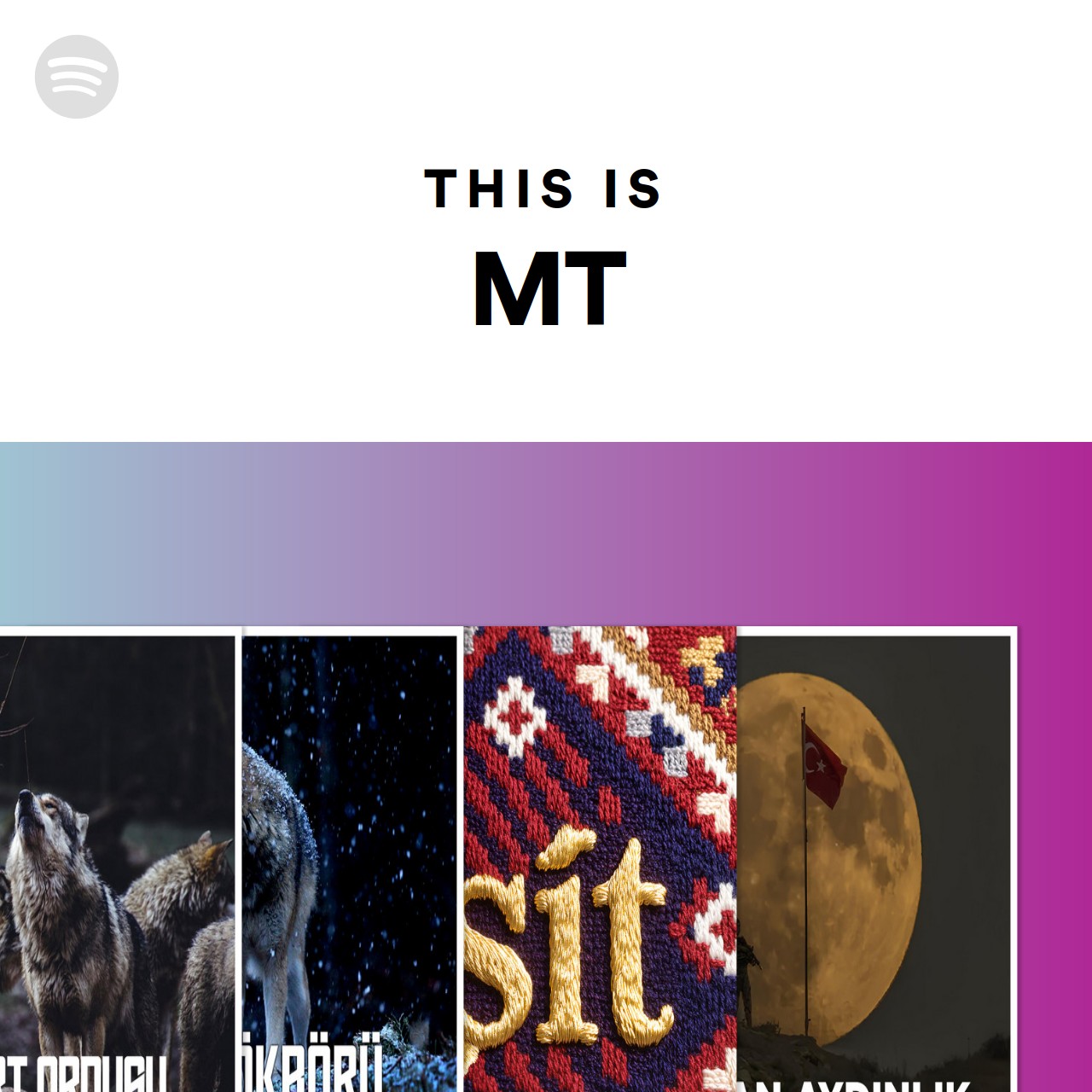 This Is MT | Spotify Playlist