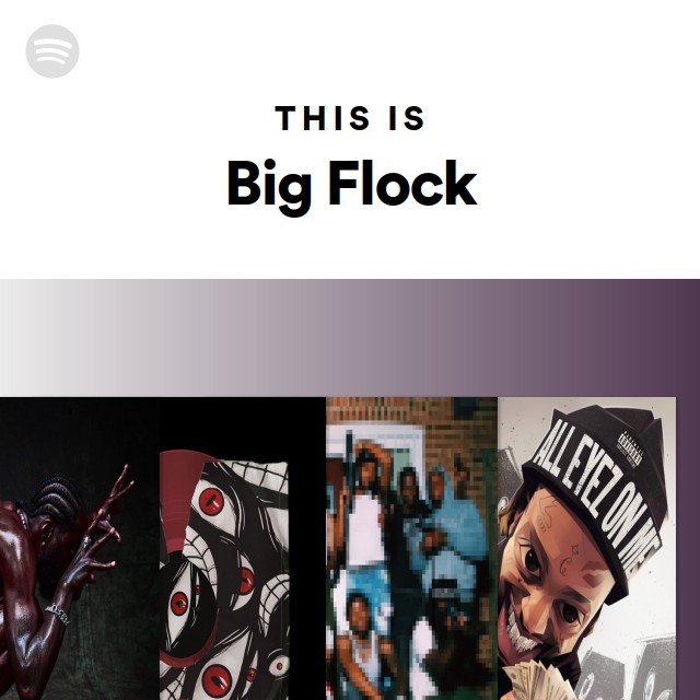 Big Flock | Spotify