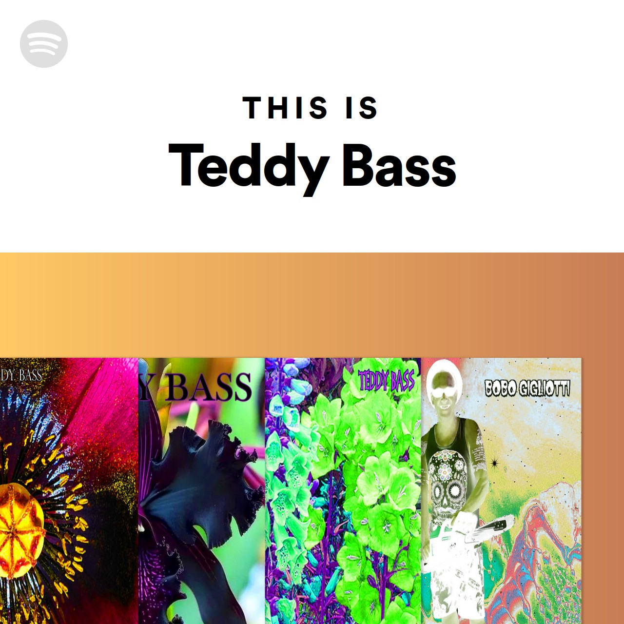This Is Teddy Bass | Spotify Playlist