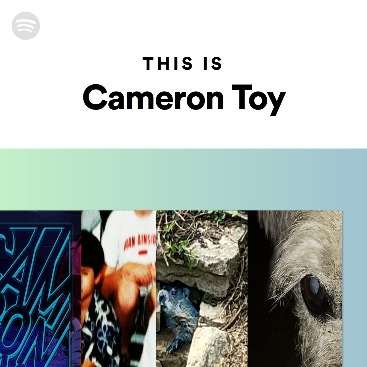This Is Cameron Toy | Spotify Playlist