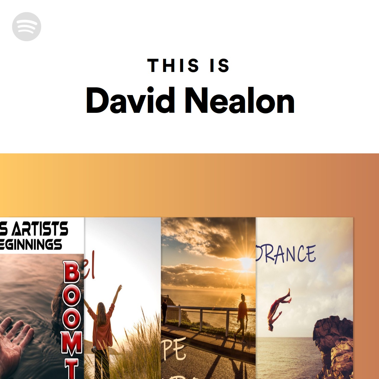 This Is David Nealon | Spotify Playlist