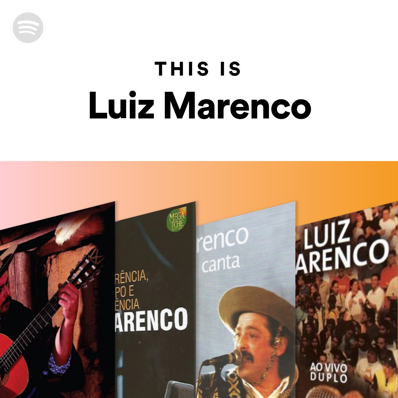 This Is Luiz Marenco | Spotify Playlist