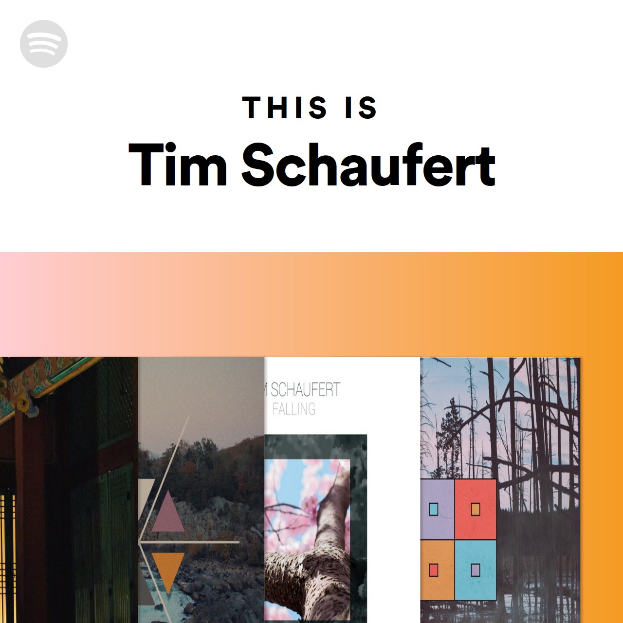 This Is Tim Schaufert | Spotify Playlist