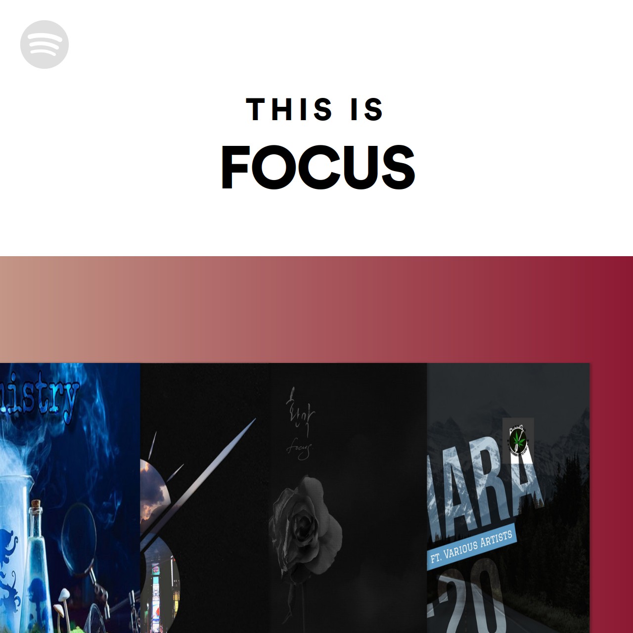 This Is FOCUS | Spotify Playlist