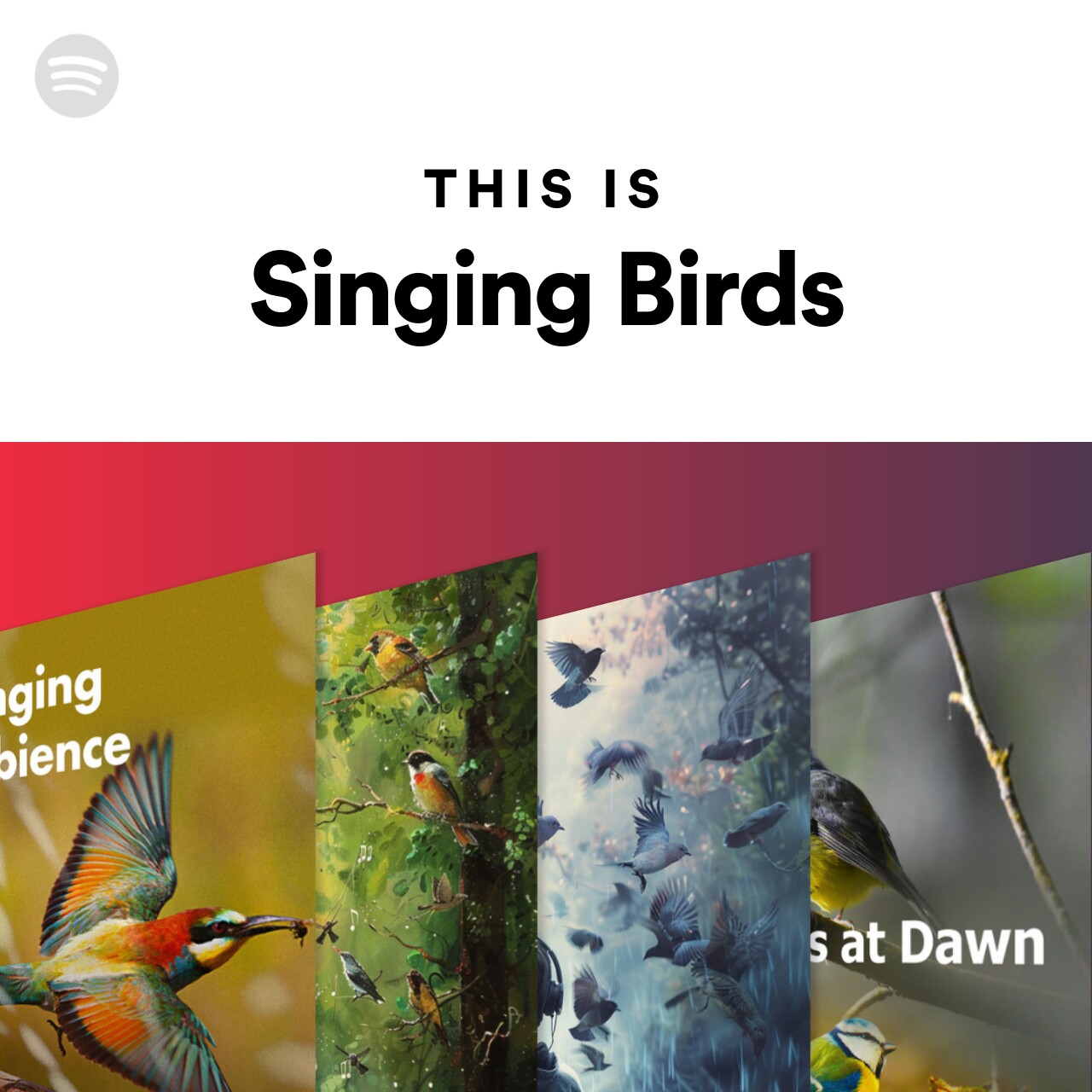 This Is Singing Birds | Spotify Playlist