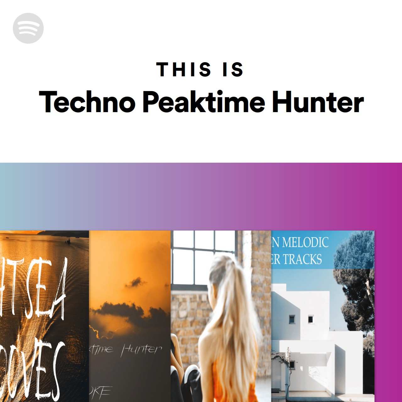 This Is Techno Peaktime Hunter | Spotify Playlist