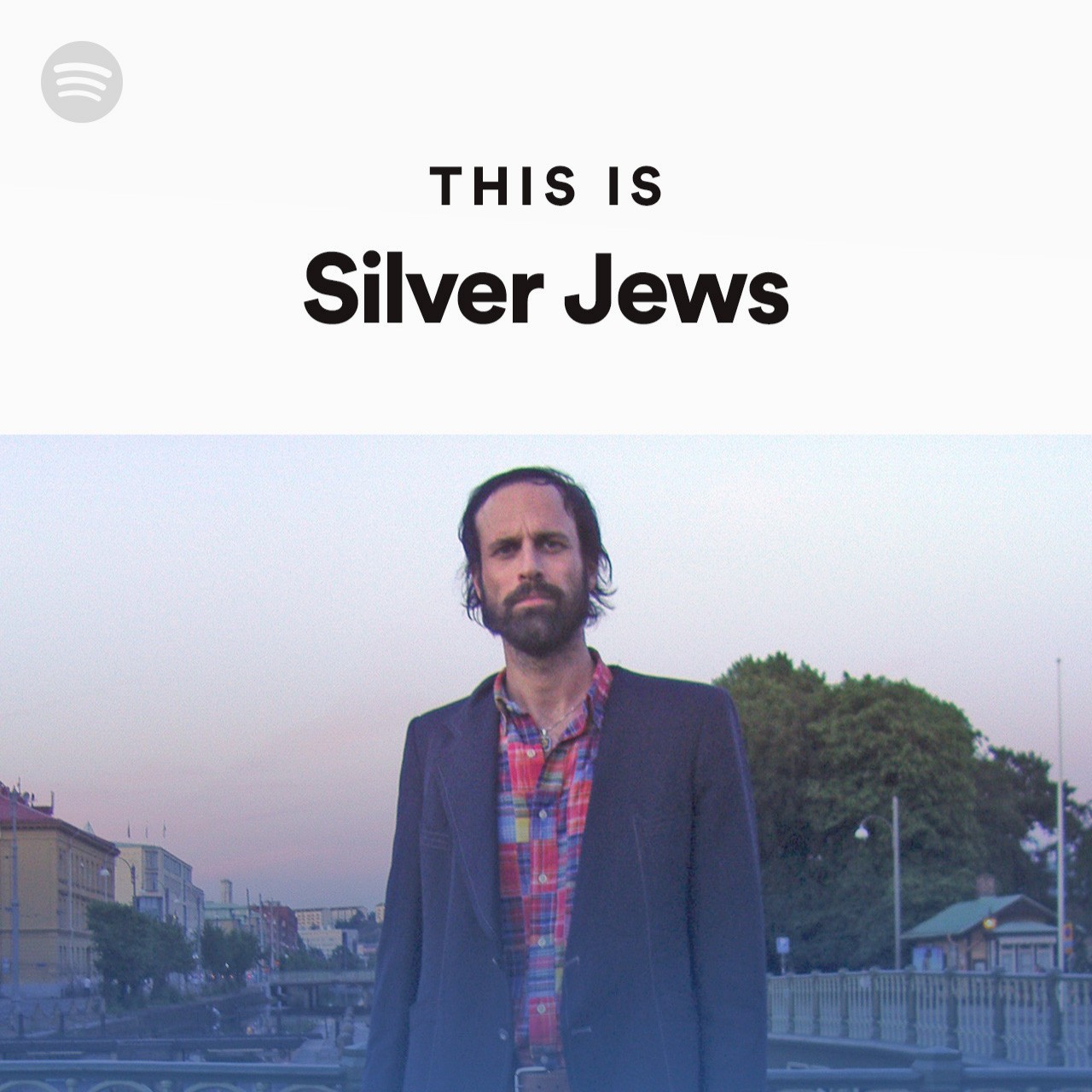 This Is Silver Jews | Spotify Playlist