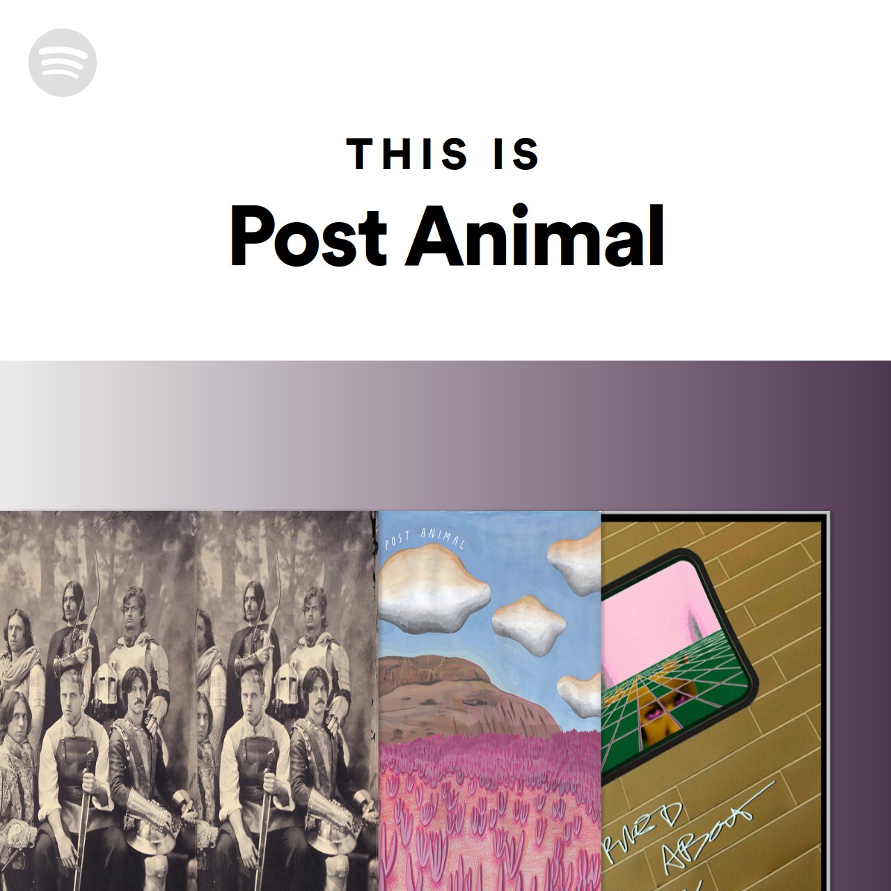 This Is Post Animal | Spotify Playlist